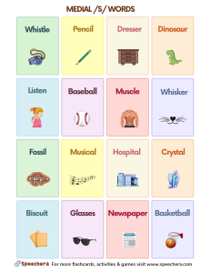 Free S Sound Medial Words Flashcards Worksheet PDF | Speech Era